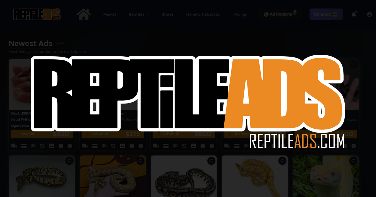 ReptileAds